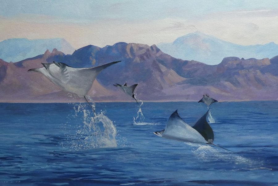 Underwater Paintings - Gerry Miles Paintings